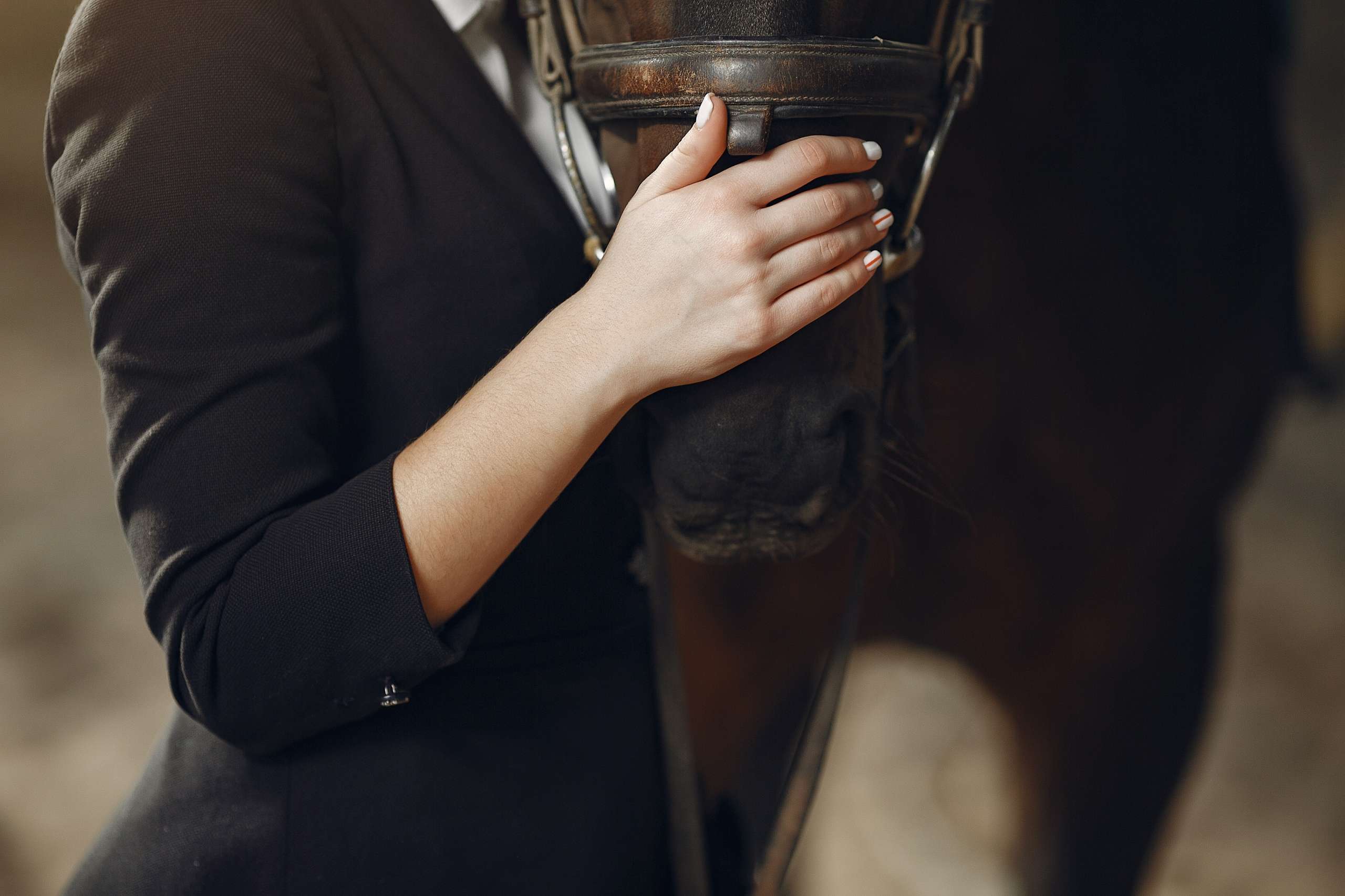 RH Equine – Professional Equestrian Trainer/Coach